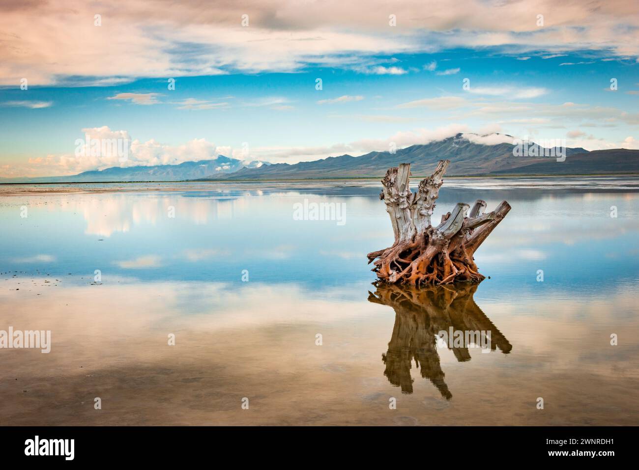 Antelope Island State Park, Largest Island in the Great Salt Lake, Utah ...
