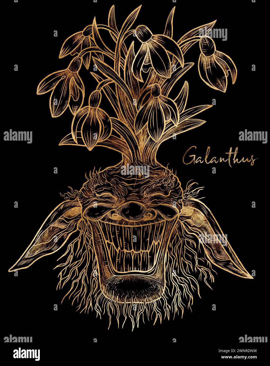 Hand drawn styled illustration with engraved funny demon or gnome face ...