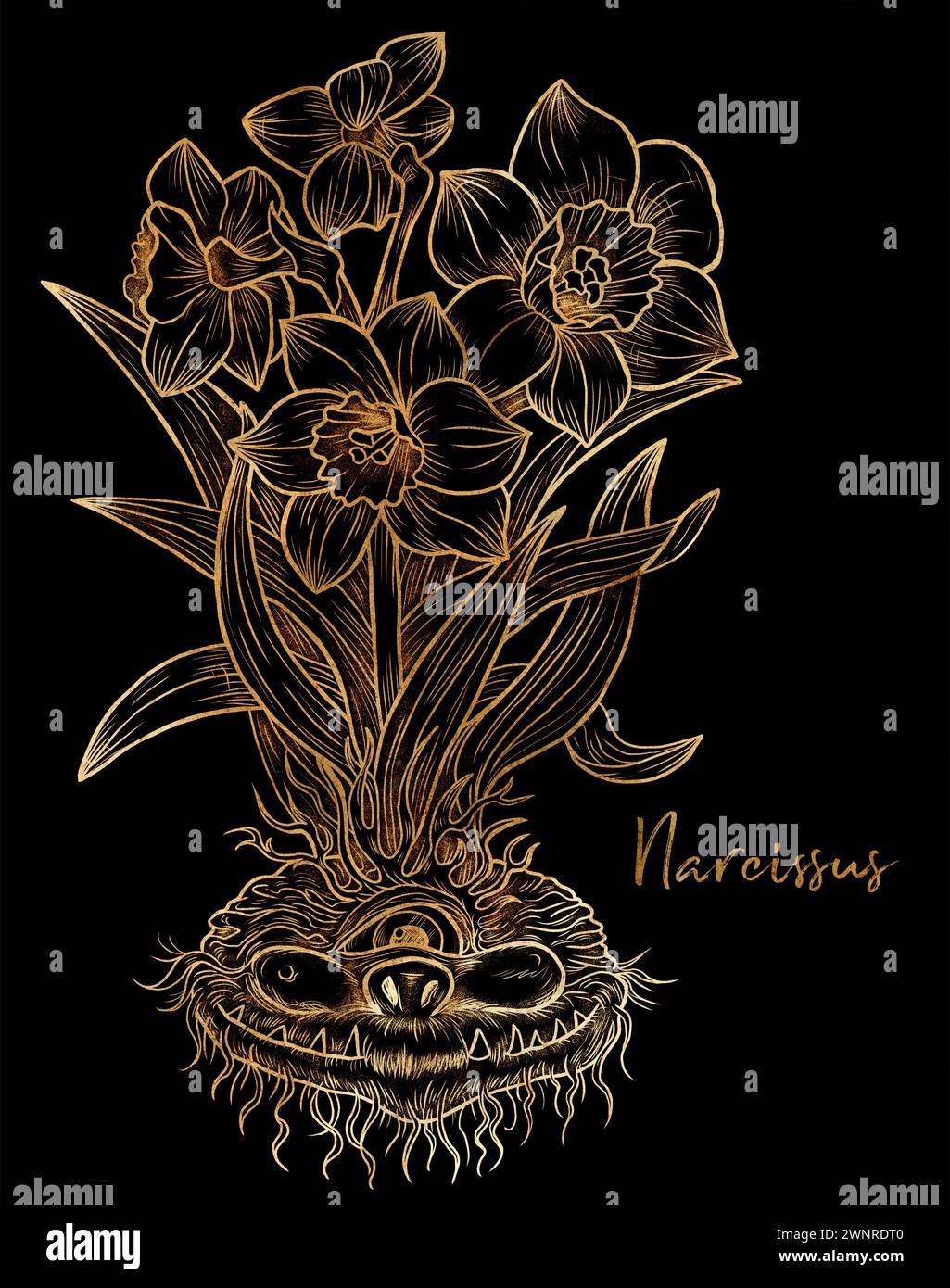 Hand drawn styled illustration with engraved funny demon or gnome face ...