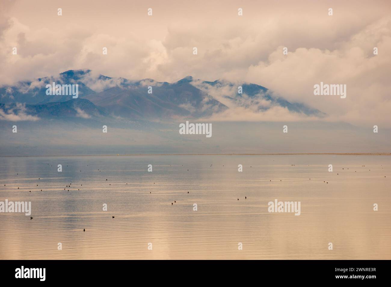 Antelope Island State Park, Largest Island in the Great Salt Lake, Utah ...