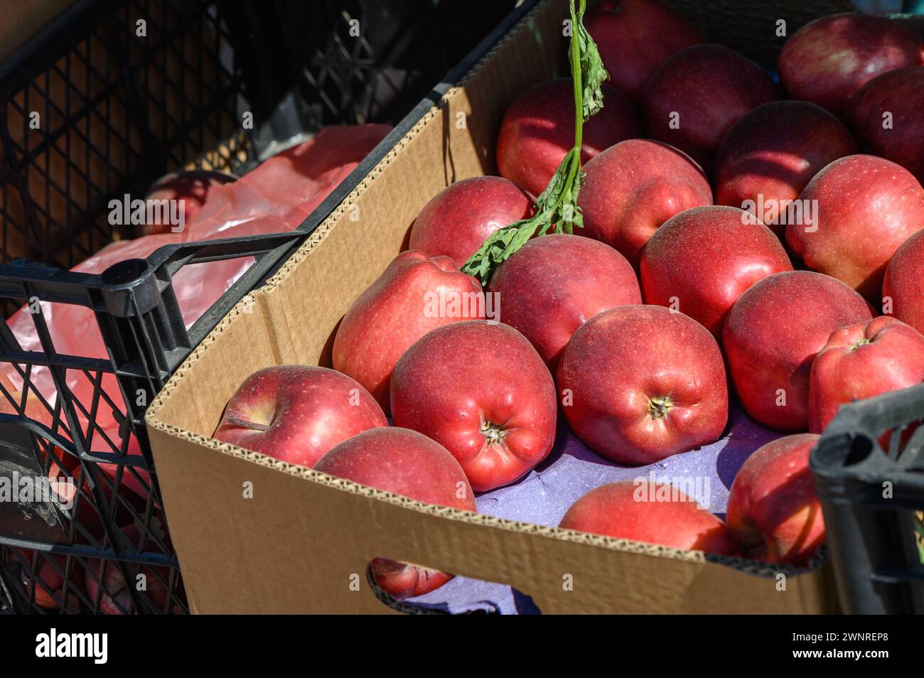 Fruit basket cyprus hi-res stock photography and images - Alamy