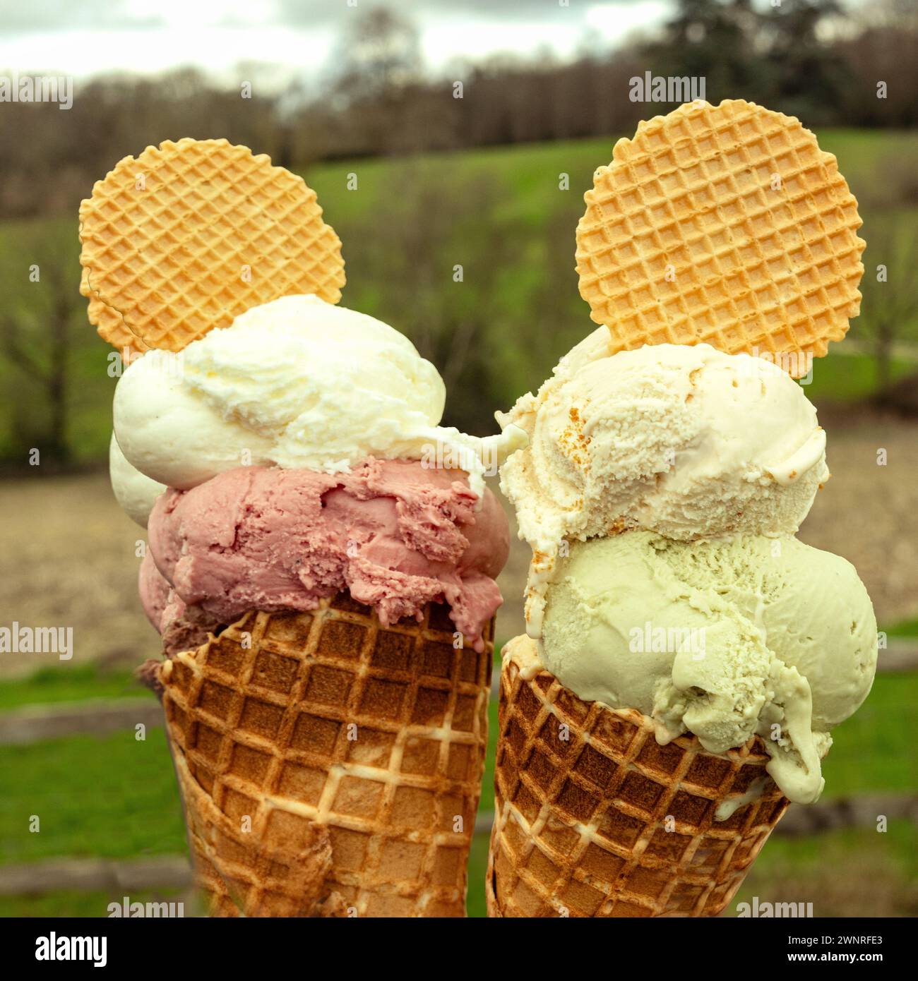 Two multi flavour ice cream cornets with wafers Stock Photo - Alamy