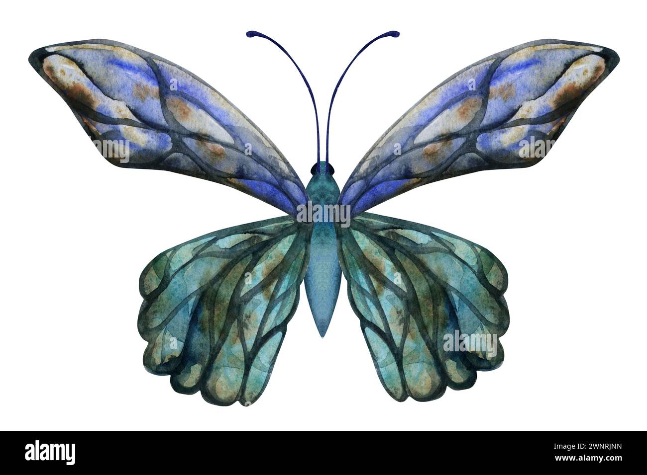 Hand drawn watercolor illustration butterfly fairy wings gem crystal ...