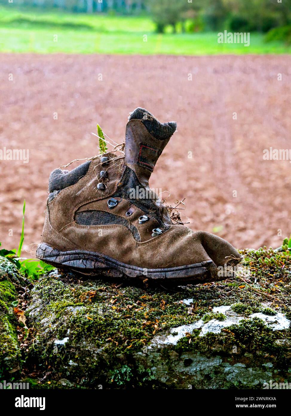 An old discarded trekking boot Stock Photo - Alamy