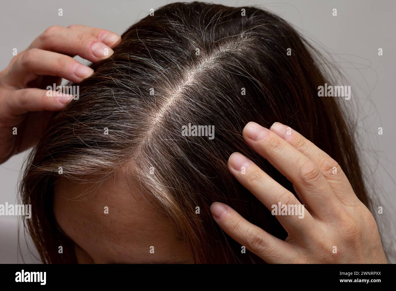Top view of hands on regrowth root with grey hair Stock Photo - Alamy