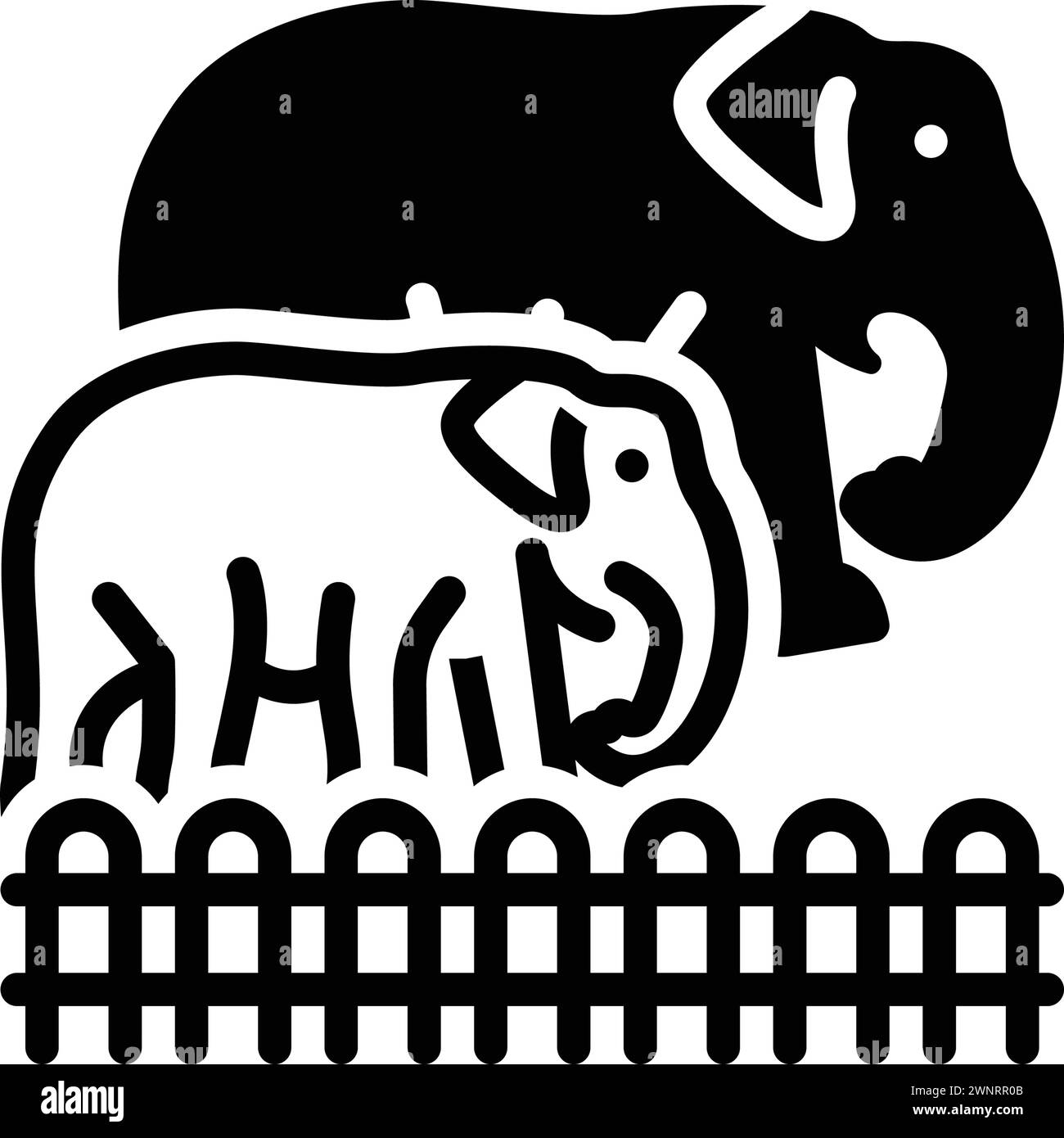 The rearing elephant Black and White Stock Photos & Images - Alamy