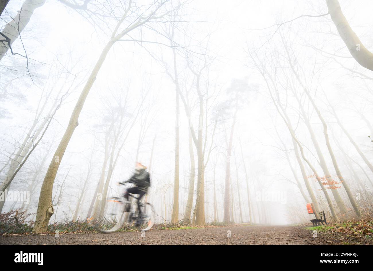 Hanover, Germany. 04th Mar, 2024. A woman rides her bike through the ...