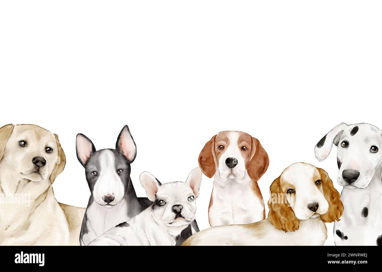 Watercolor border with cute dogs: bull terrier, French bulldog, beagle ...