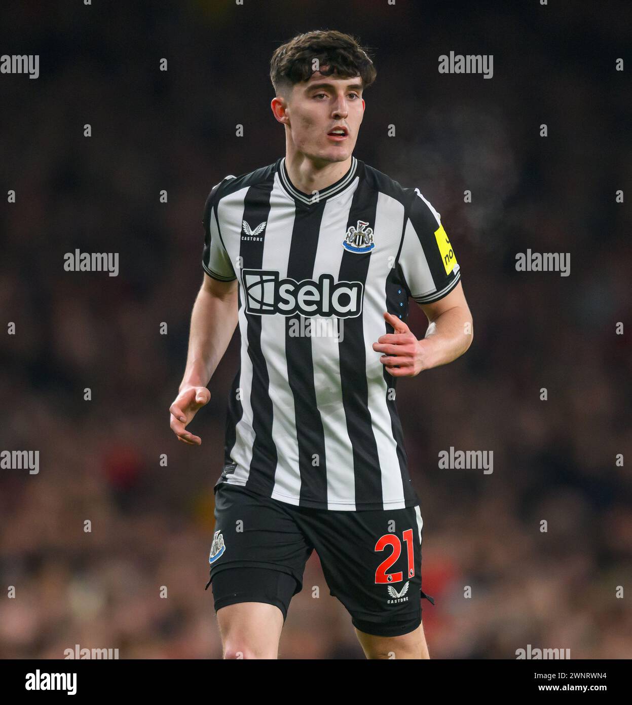 Tino livramento newcastle 2024 hi-res stock photography and images - Alamy