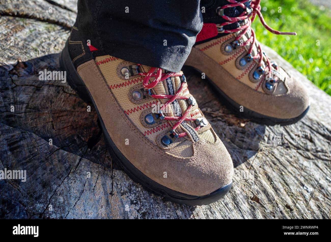 Close-up of new mountain boots on a child's feet, atop a tree stump ...