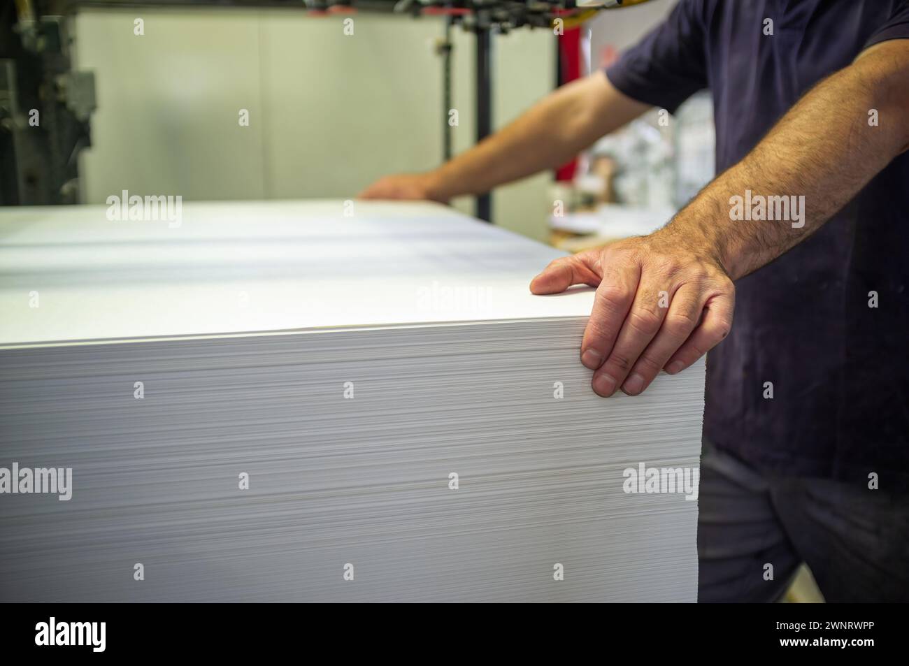 Loading paper onto an offset printing machine operation Stock Photo - Alamy
