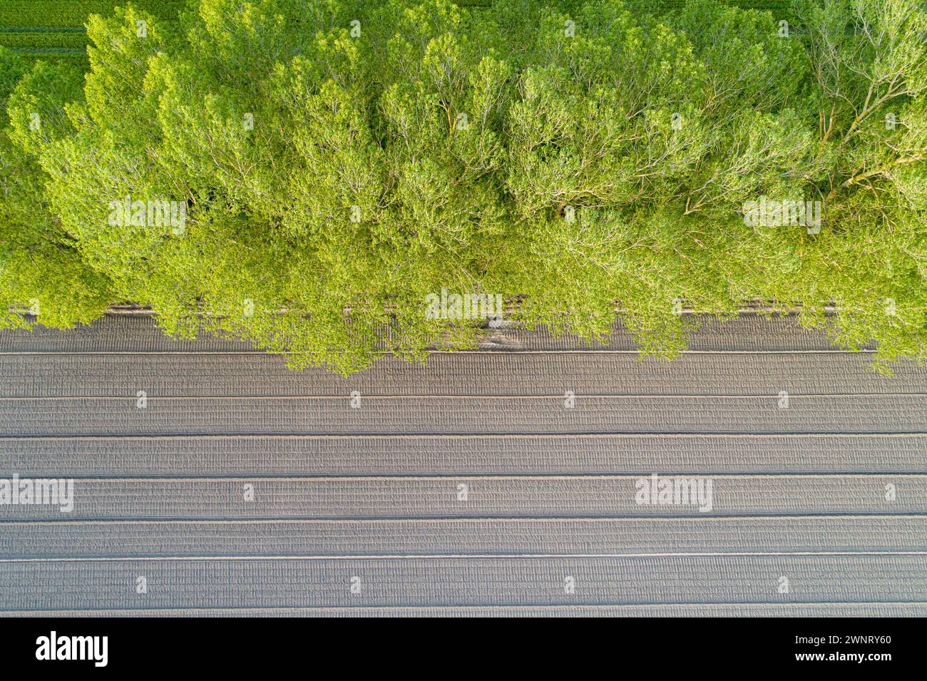 Earth trees aerial view hi-res stock photography and images - Alamy
