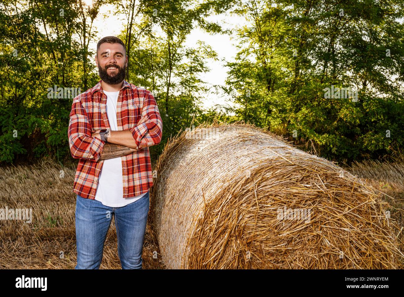 Farmer is standing beside bales of hay. He is satisfied after ...