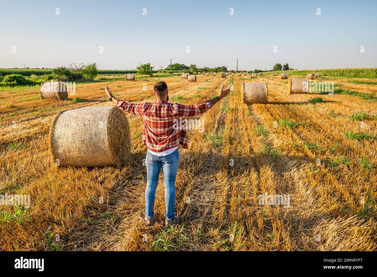 Happy farmer is standing beside bales of hay. He is satisfied because ...