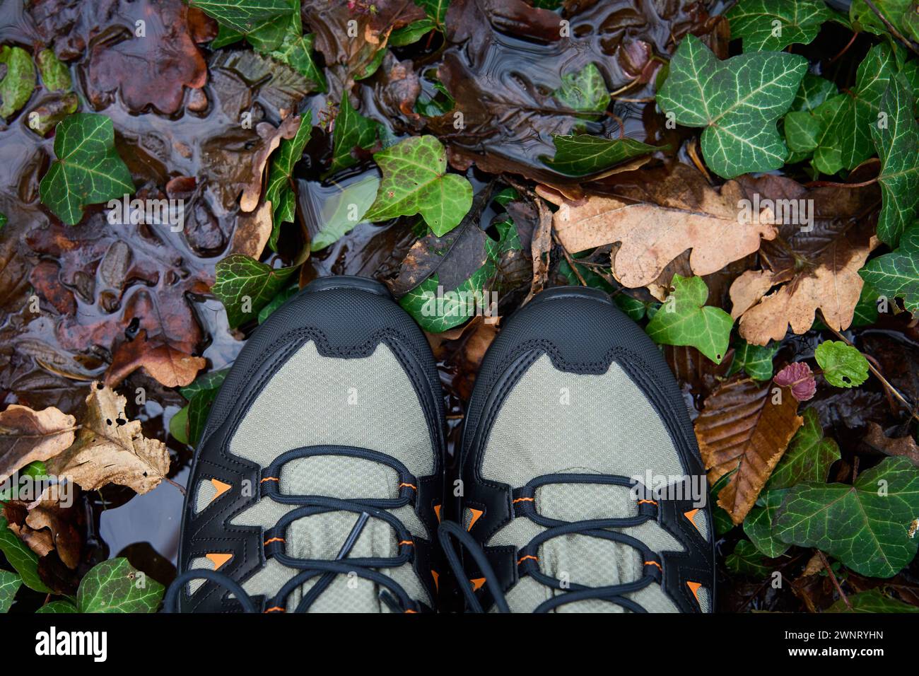 Puddle floor sports hi-res stock photography and images - Alamy