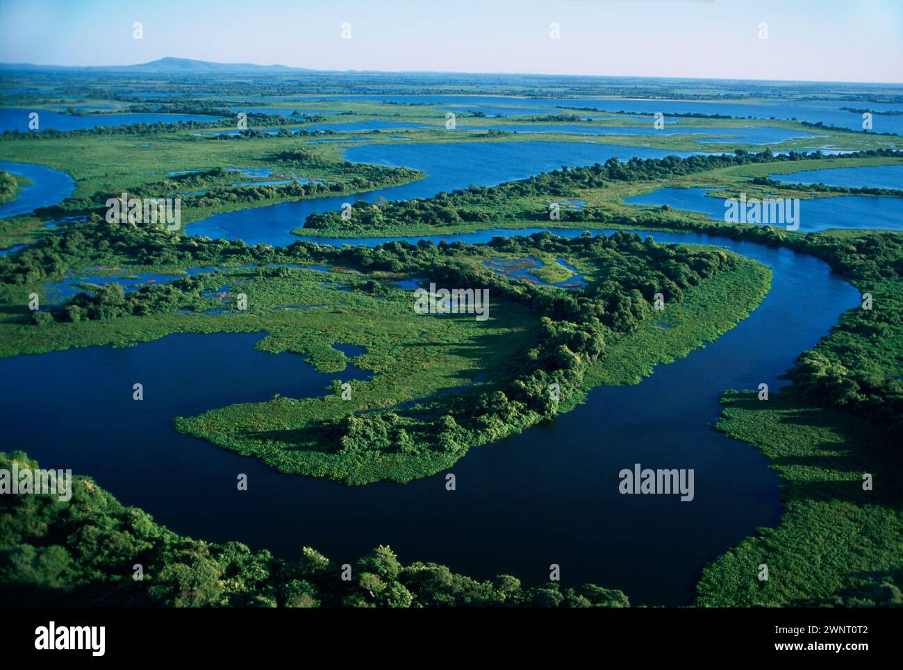 An aerial view of the Pantanal, the largest freshwater estuary in the ...