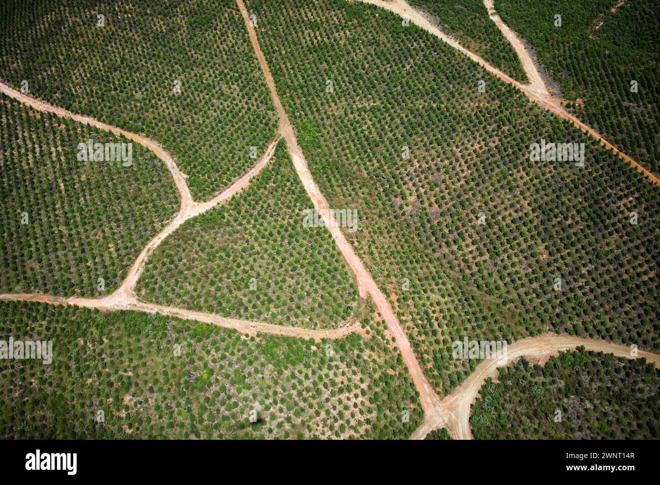 Sao Paulo's watershed, Brazil Stock Photo - Alamy