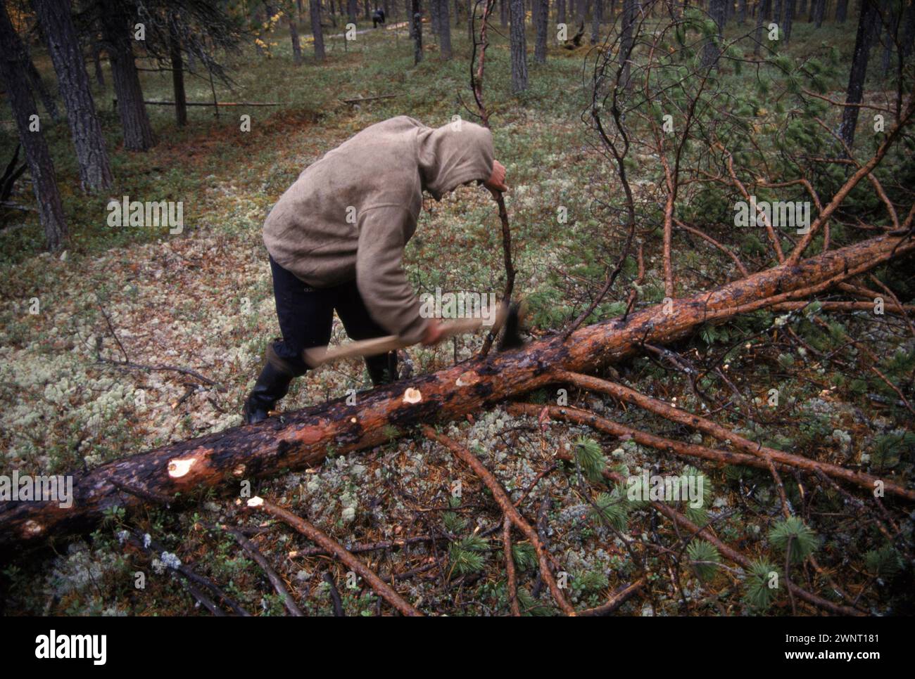 Khanty hi-res stock photography and images - Alamy