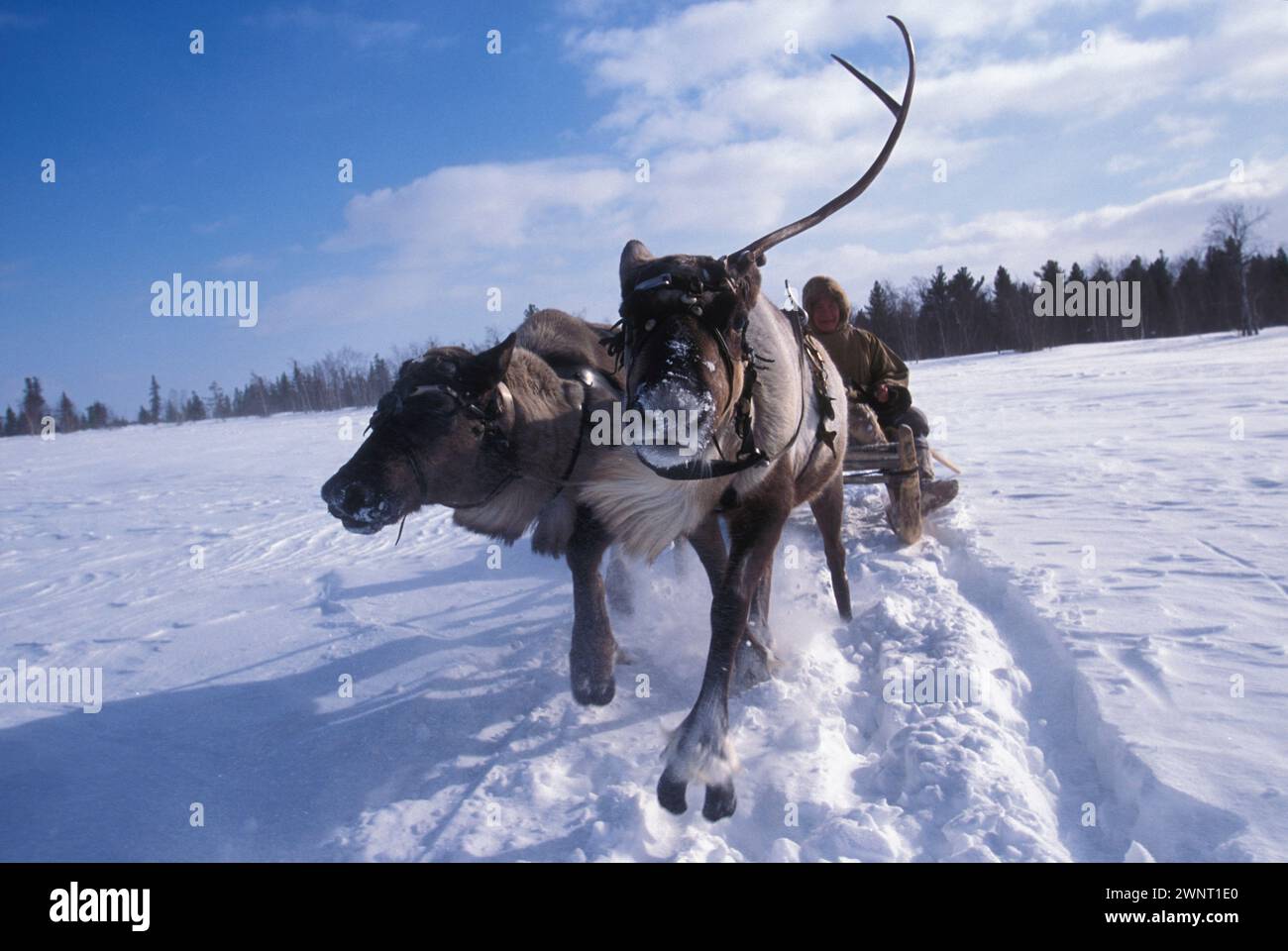Khanty hi-res stock photography and images - Alamy