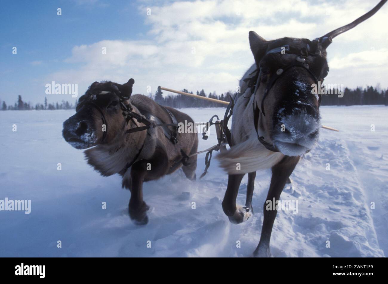 Khanty hi-res stock photography and images - Alamy