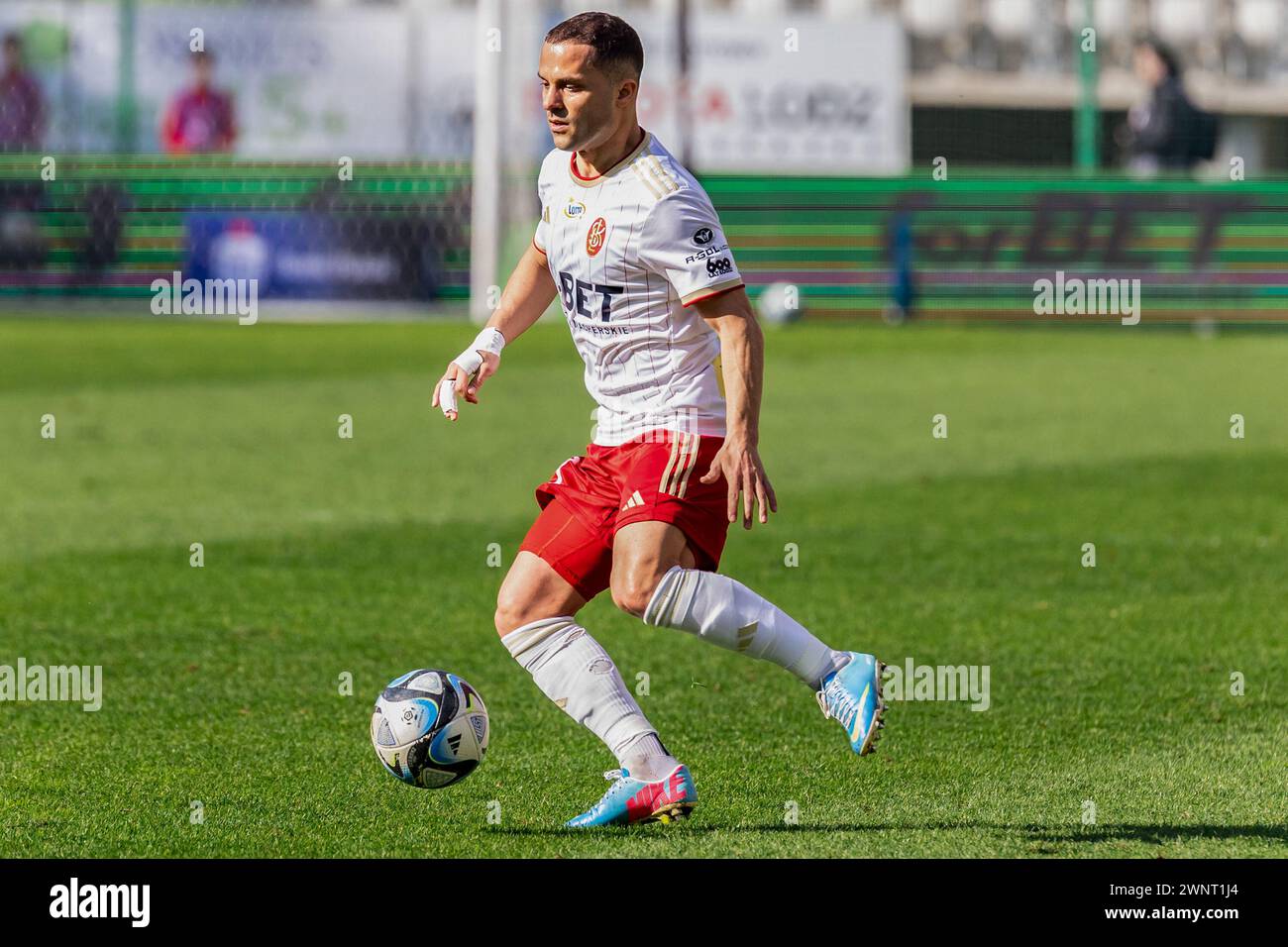 Puszcza niepolomice hi-res stock photography and images - Alamy