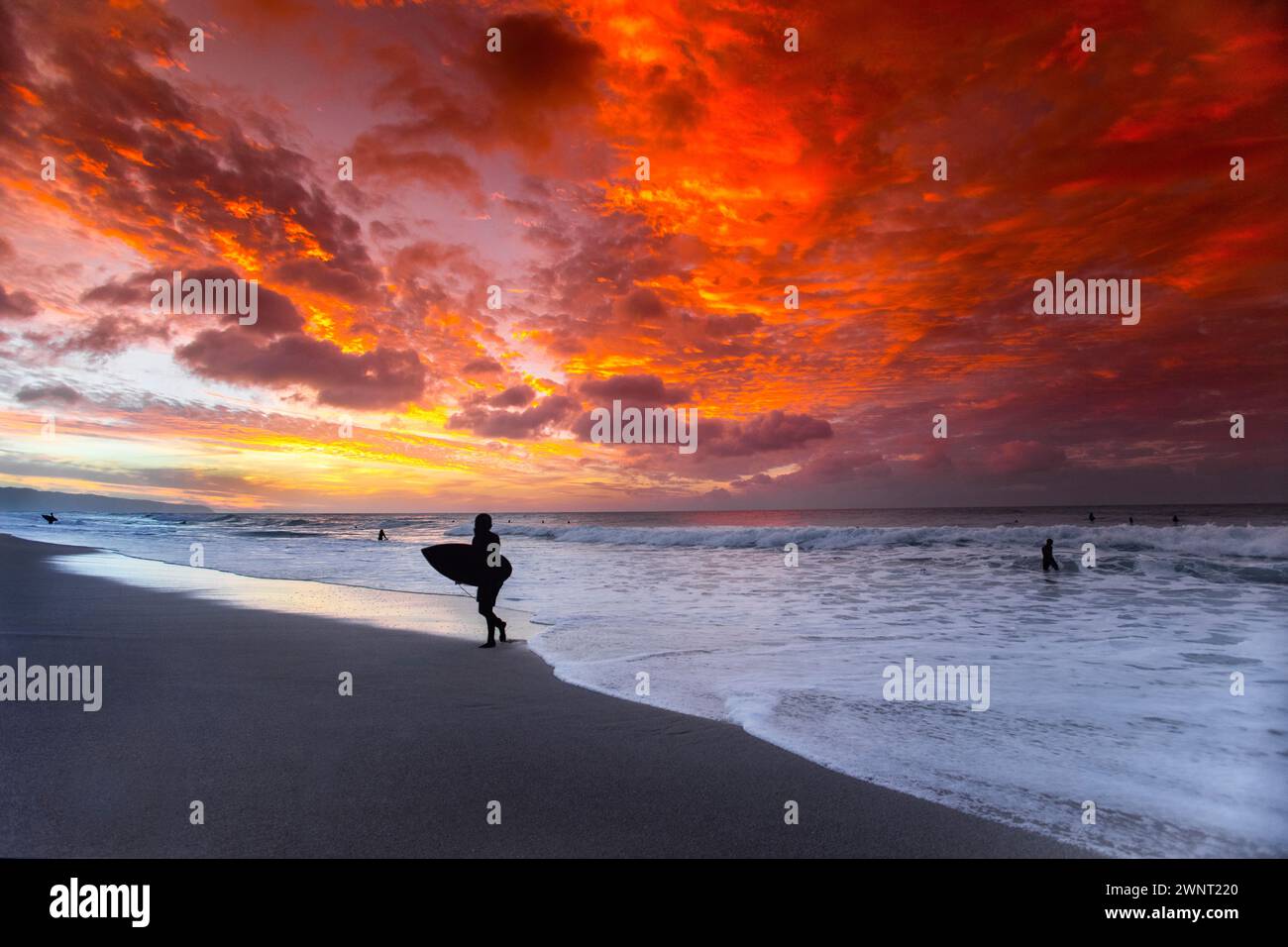 Silhouette of surfer carrying surfboard at Ehukai Beach Park at sunset ...