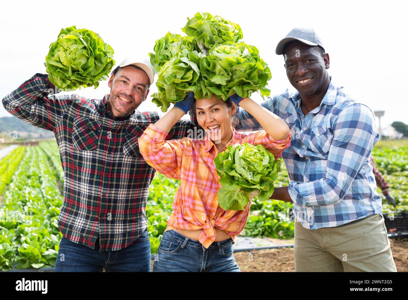 Happy male farmer dancing enjoying hi-res stock photography and images ...