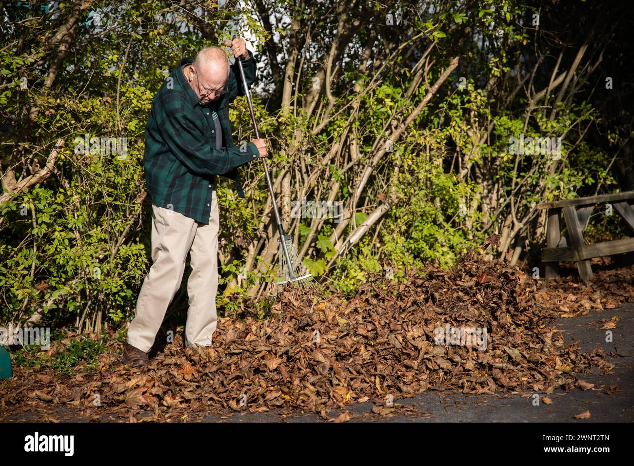 Senior citizen gardening hi-res stock photography and images - Alamy
