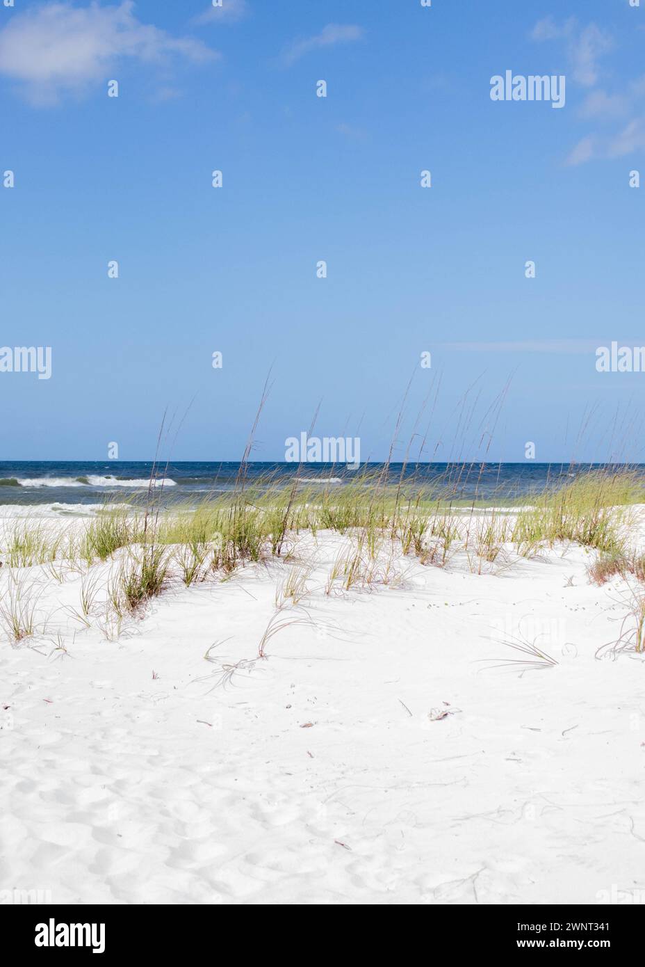 Panama city florida shell island hi-res stock photography and images ...