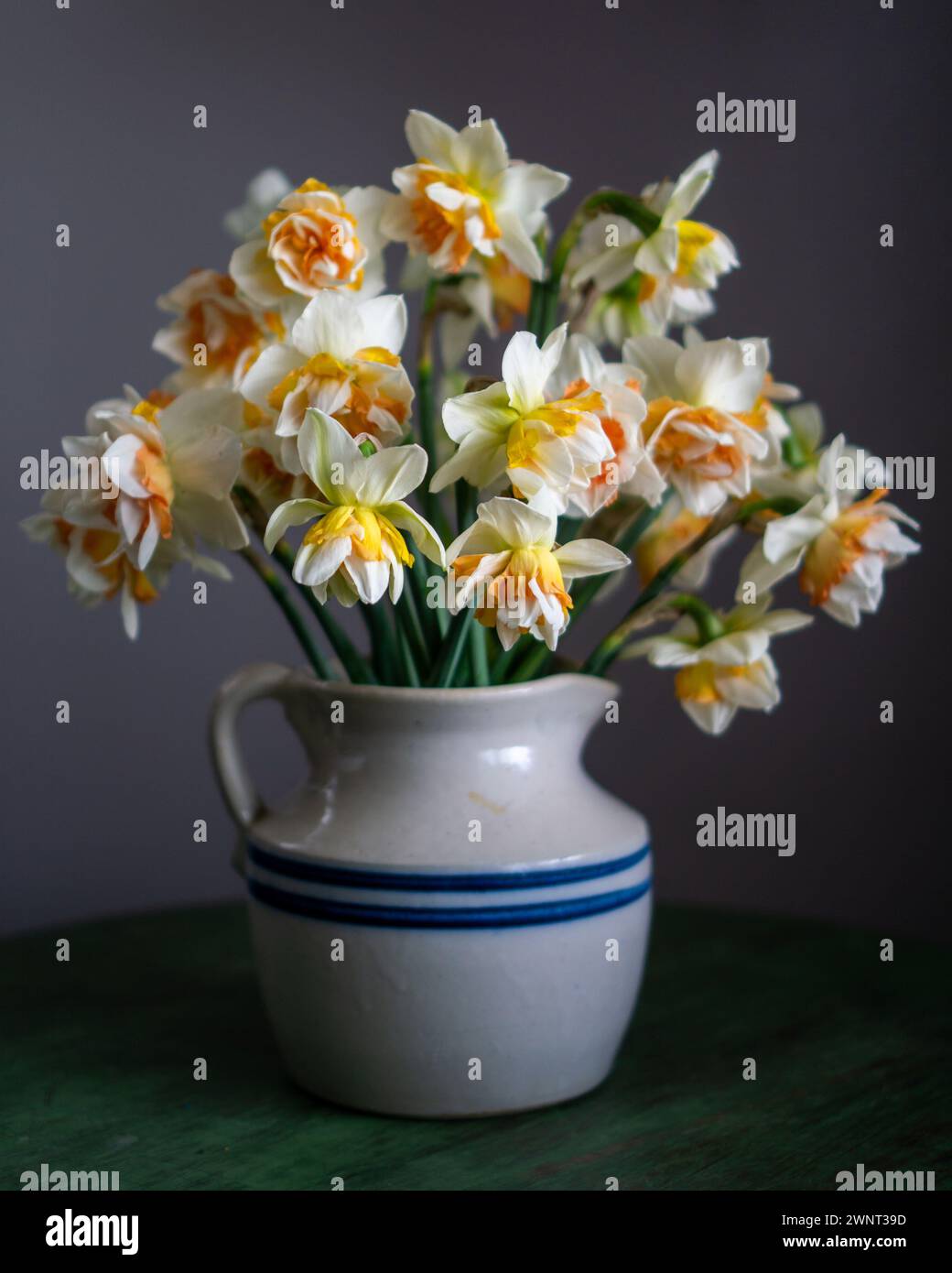 Beautiful daffodil flower hi-res stock photography and images - Alamy