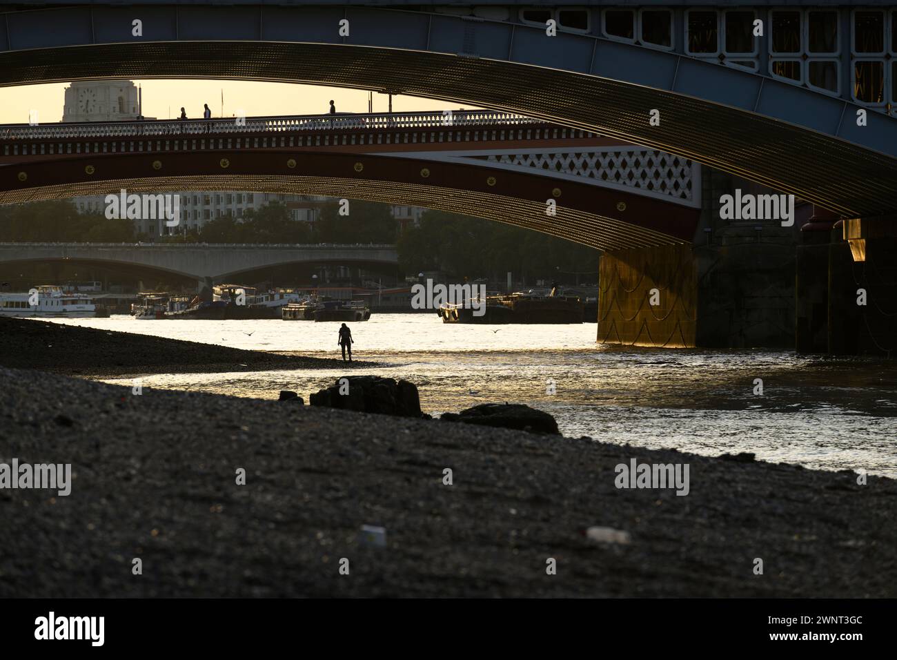 A Thames Mudlarker searching the Thames foreshore. Southbank, London ...