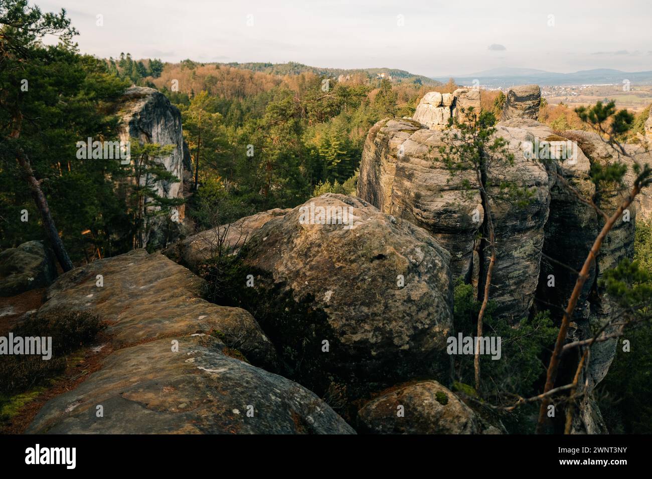 rocks and stones in the forest in the Czech Republic, park Cesky Raj ...