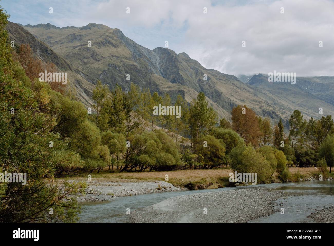 Francis Sylvest is a Boulder, Colorado based adventure elopement and ...