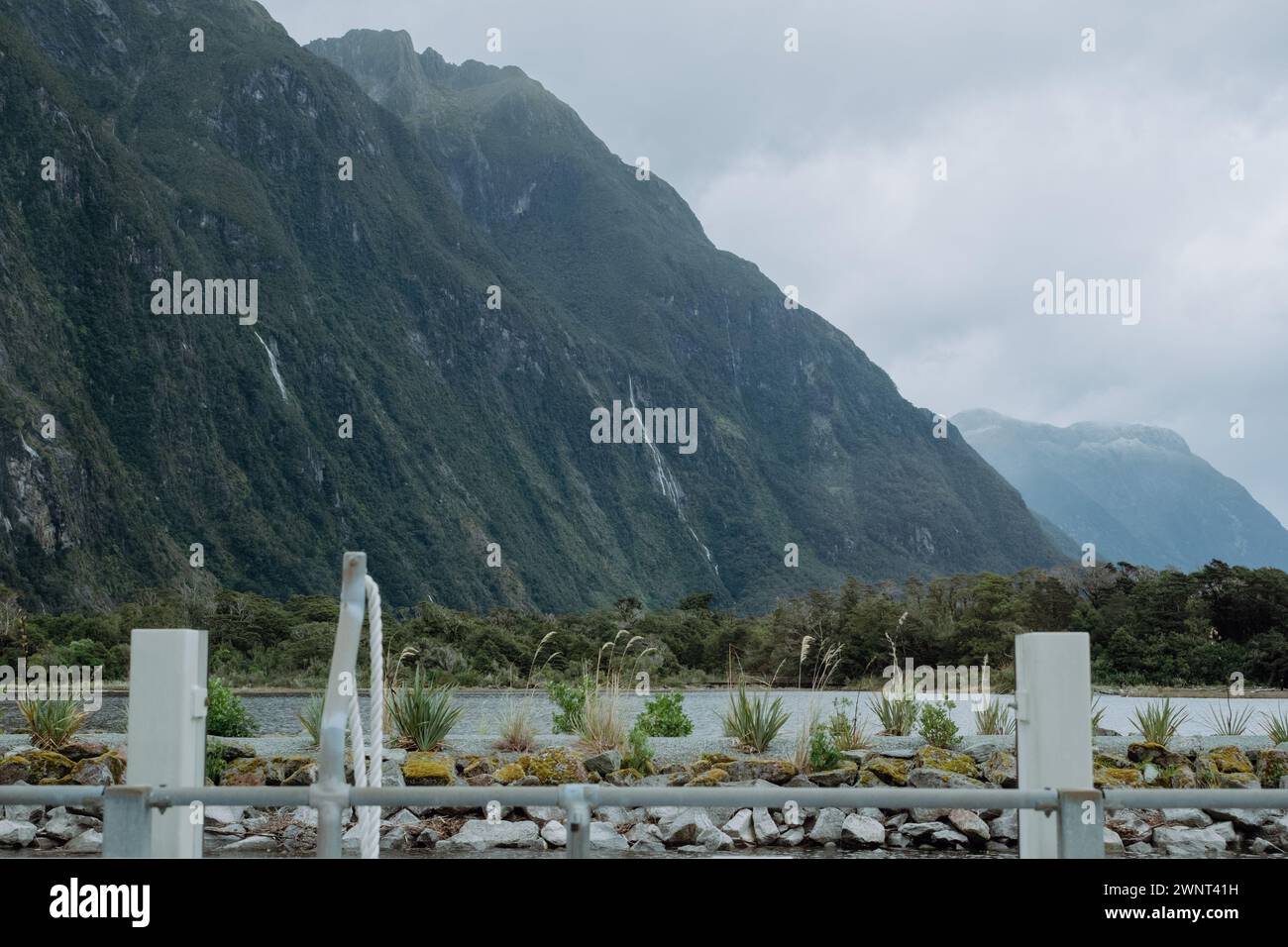 Rocky dock overlooking famous Milford Sound fjord and green mountains ...