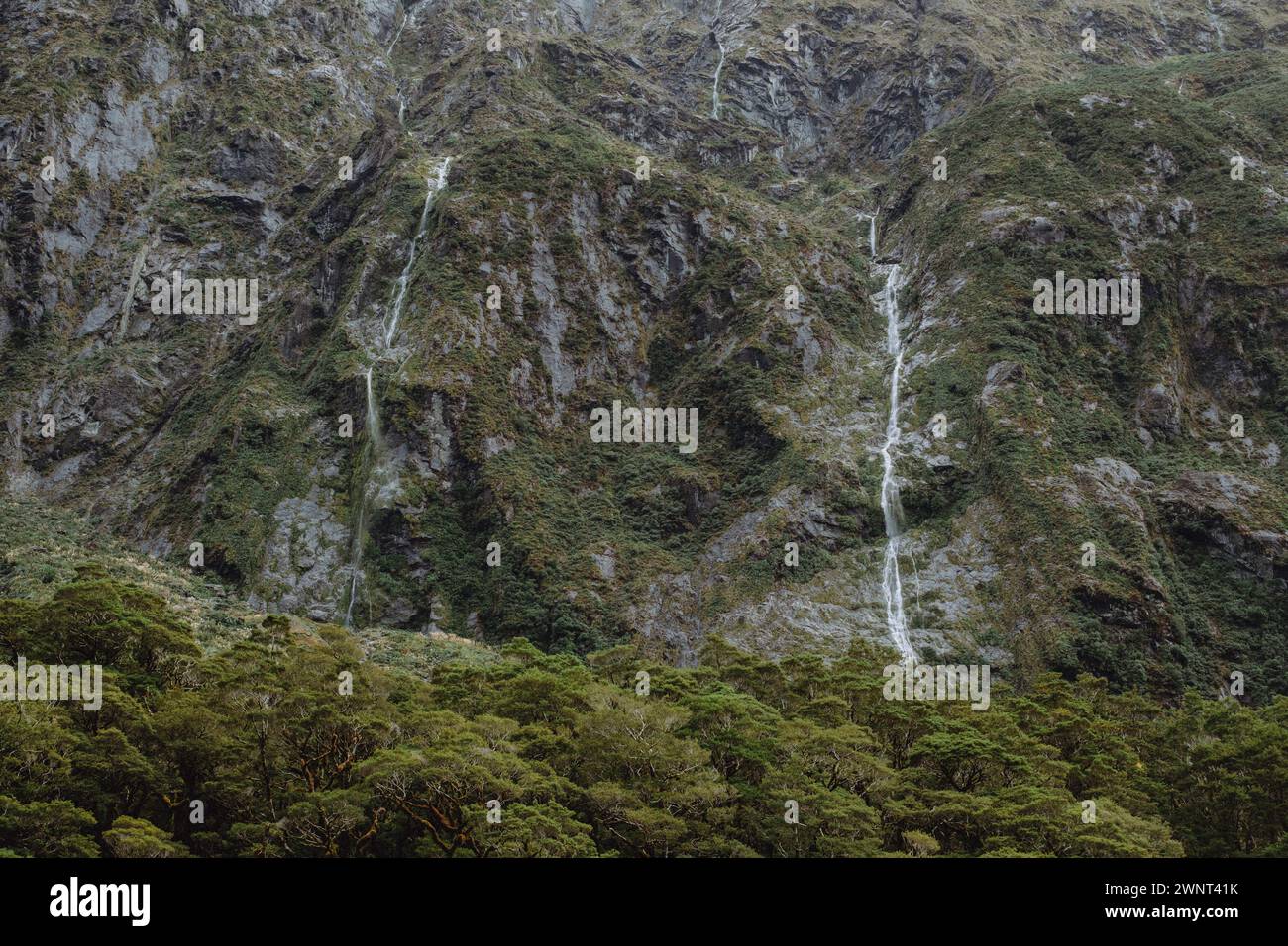 Scenic waterfalls cascade down mossy rocky mountainside Stock Photo - Alamy
