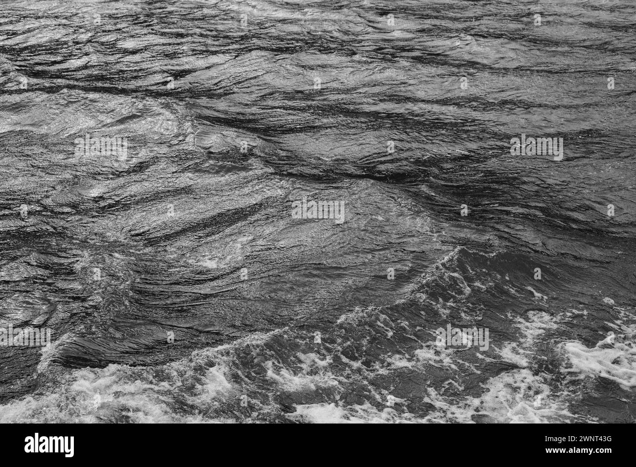 Textured black and white waves swirl behind boat in Milford Sound Stock ...