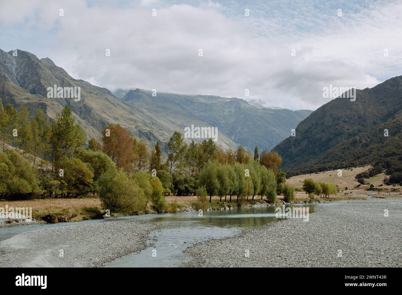 Francis Sylvest is a Boulder, Colorado based adventure elopement and ...
