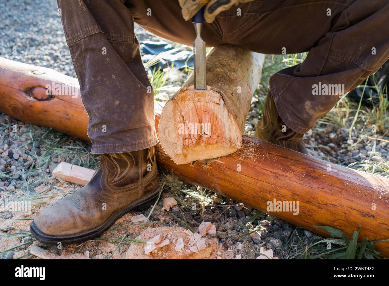 Craftsman chiseling wood for log cabin Stock Photo - Alamy