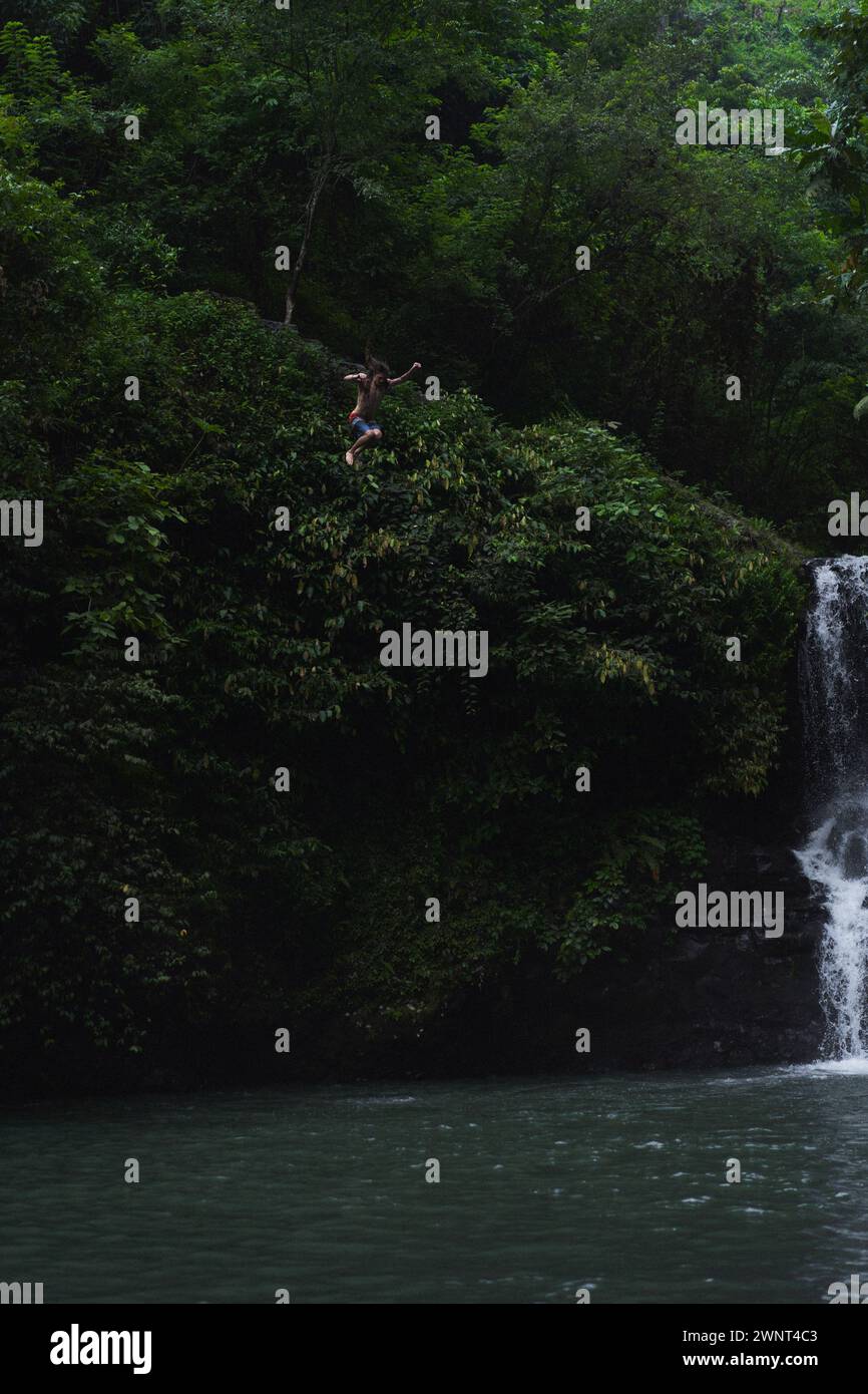 Man jumps from a cliff into the Alin-Alin waterfall. Bali Stock Photo ...