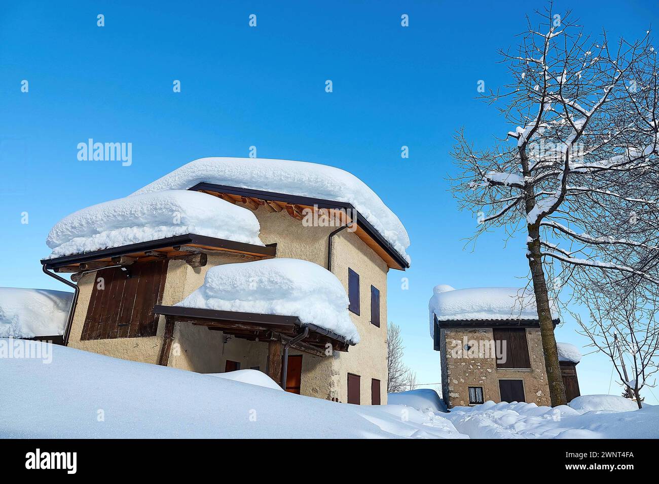 Cabin buried by snow hi-res stock photography and images - Alamy
