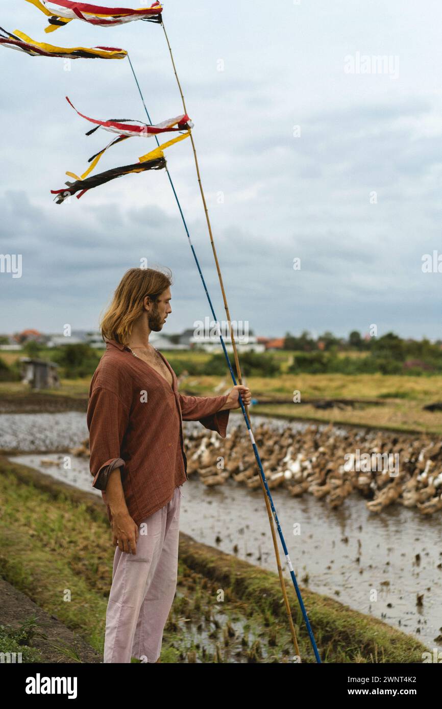 Long-haired man on a duck farm. Ducks in a rice field Bali Stock Photo ...