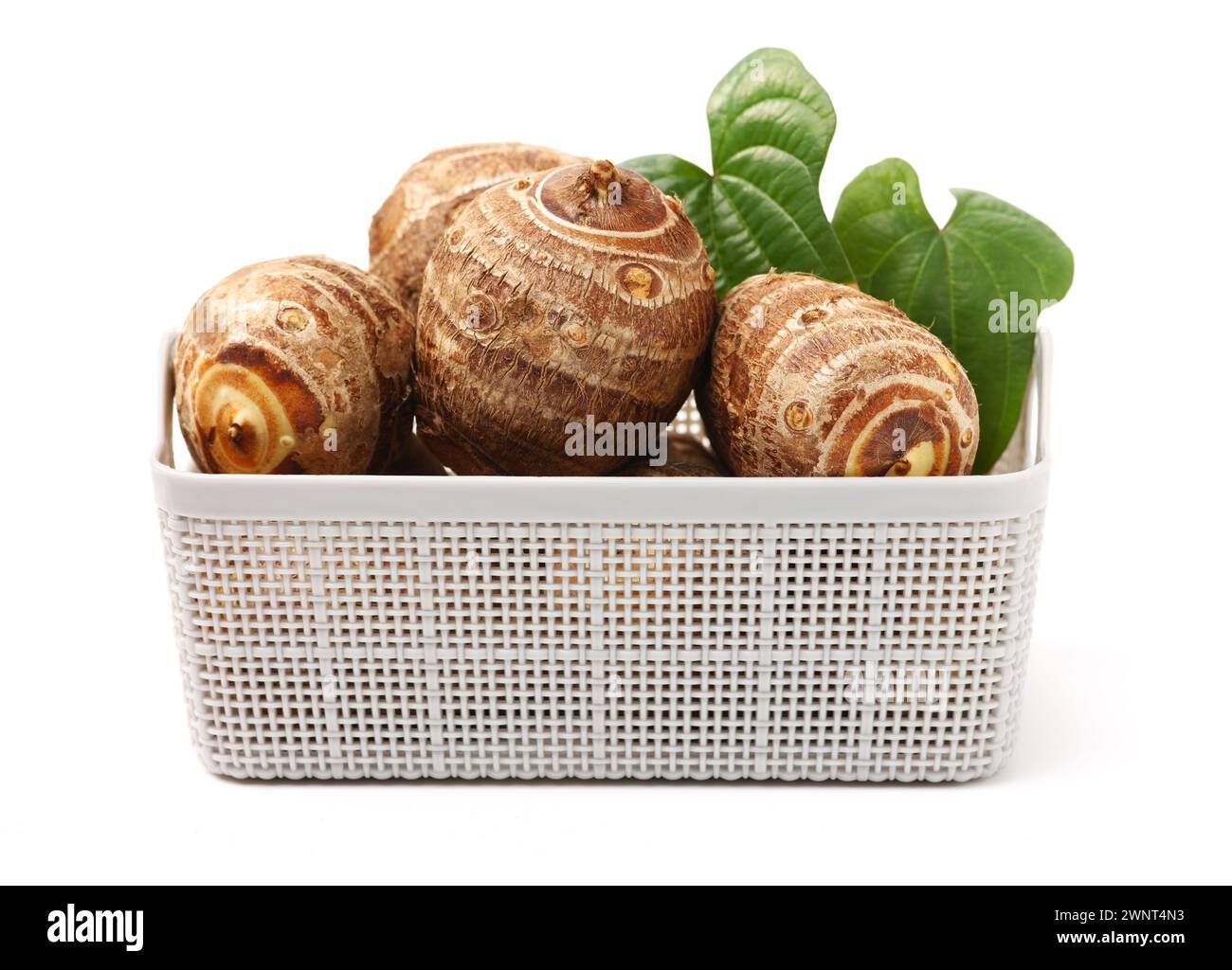 Taro root on leaf hi-res stock photography and images - Alamy