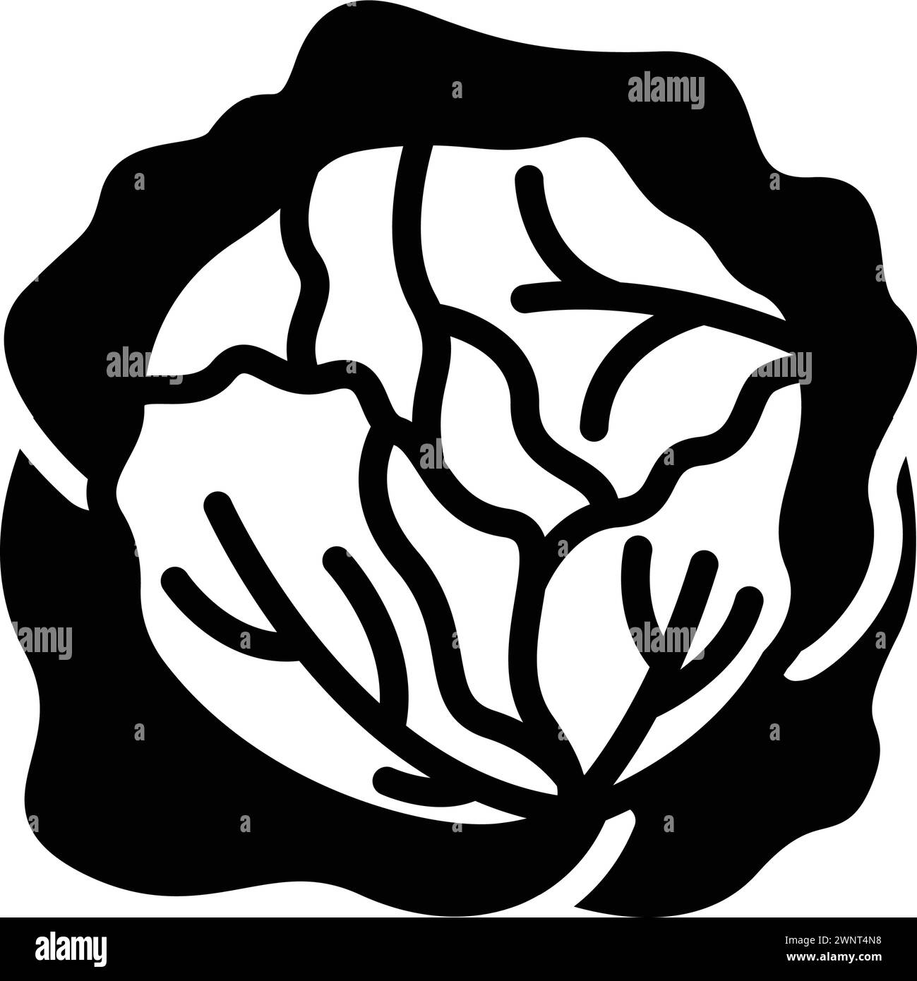 Icon for cole,cabbage Stock Vector Image & Art - Alamy