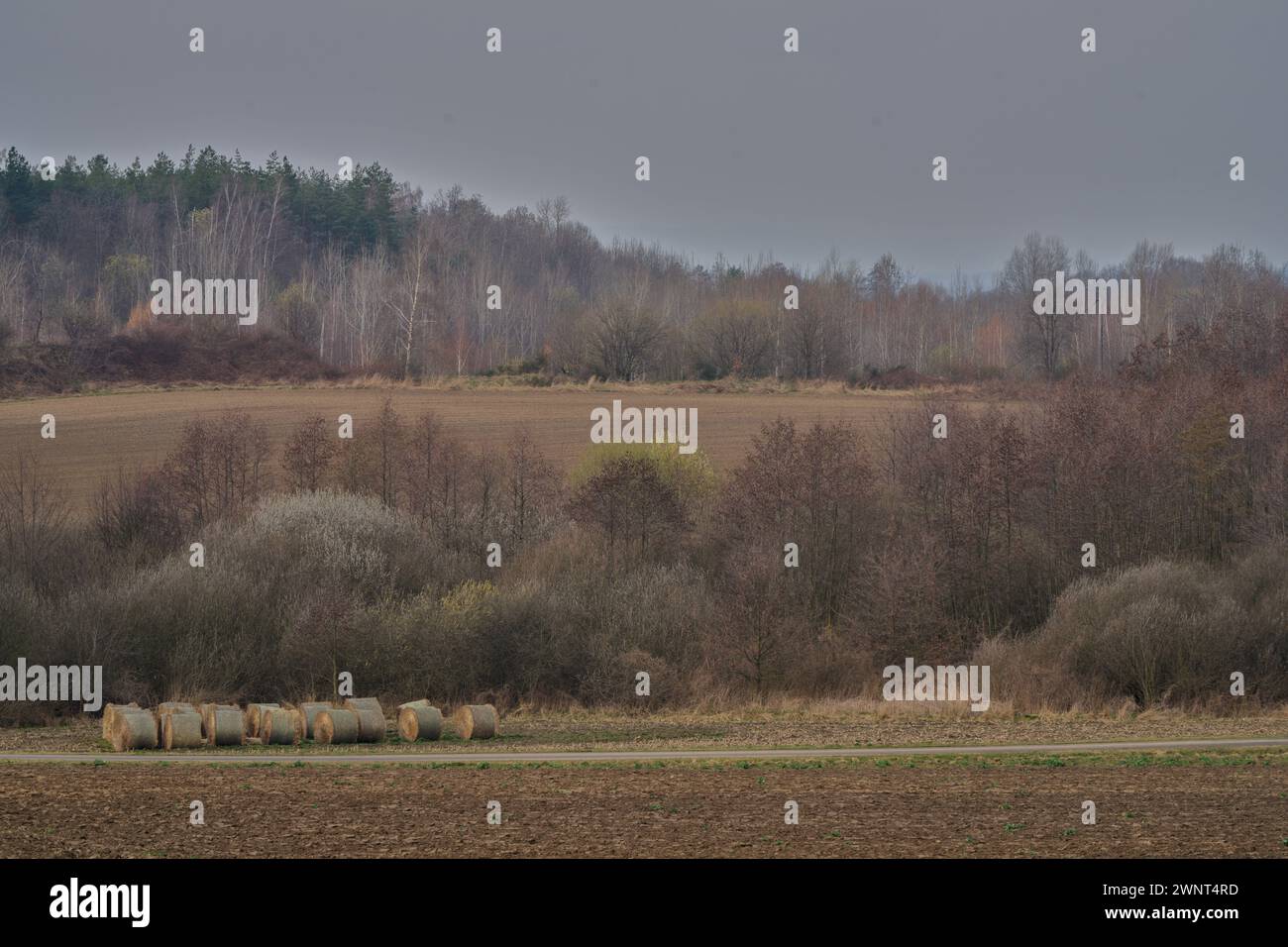 Early spring rural landscape with green germinating crpos at the foot ...
