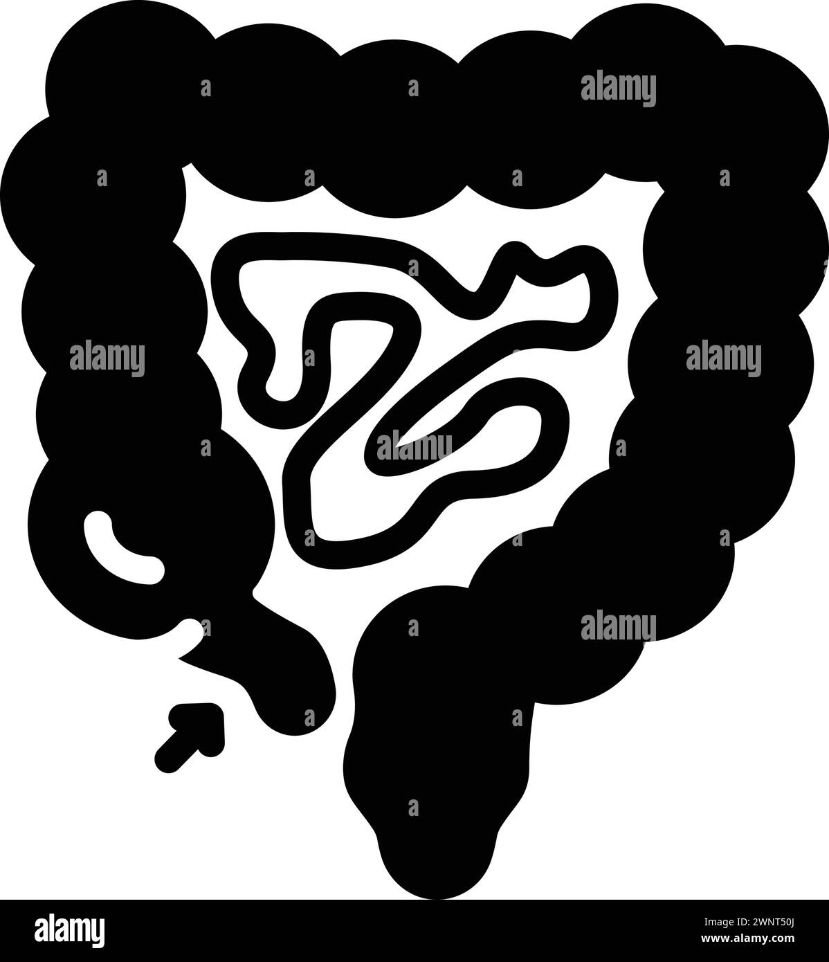 Icon for appendix,intestine Stock Vector Image & Art - Alamy