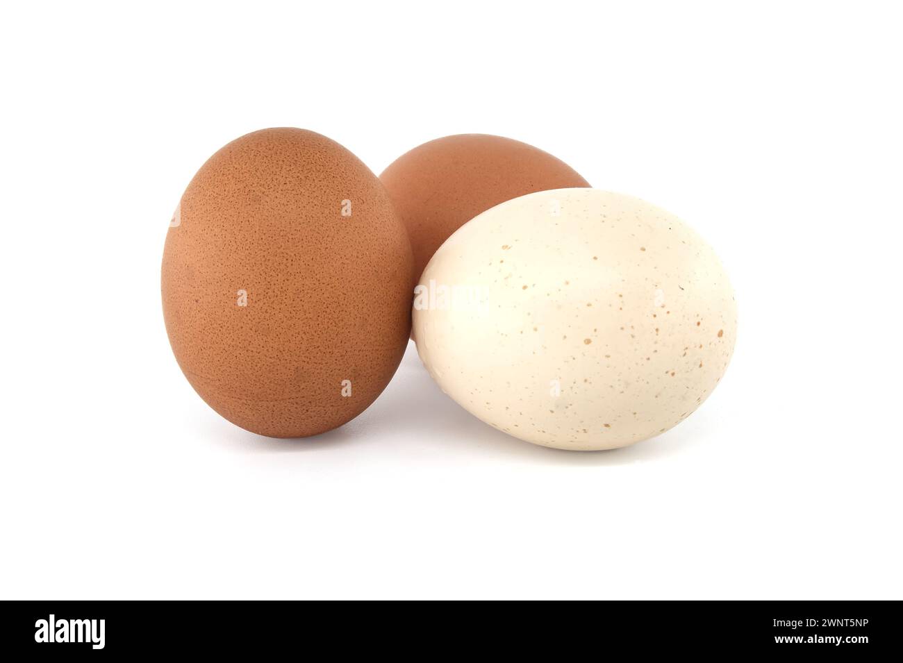 Varying colors Cut Out Stock Images & Pictures - Alamy