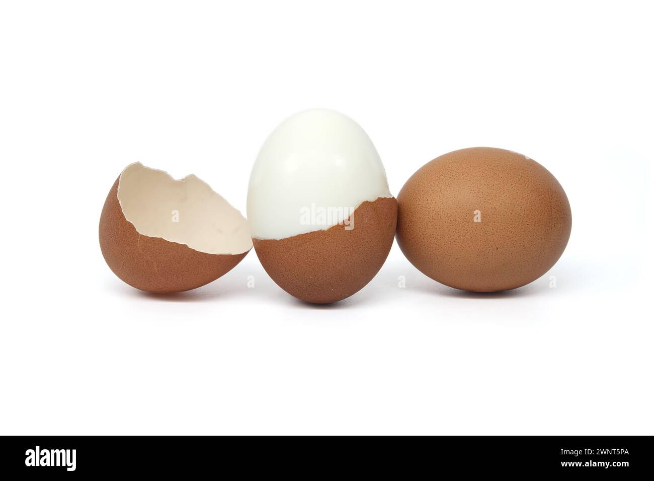 Eggs with varying colors and detail of the egg shell isolated on white ...