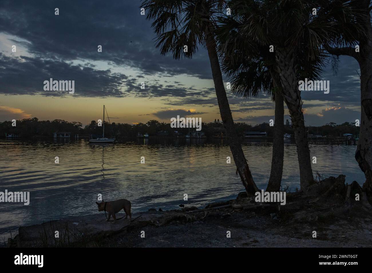 Shoreline with docks hi-res stock photography and images - Alamy