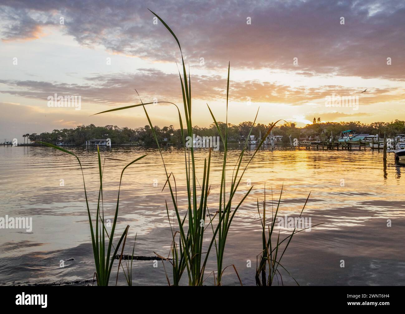 Shoreline with docks hi-res stock photography and images - Alamy
