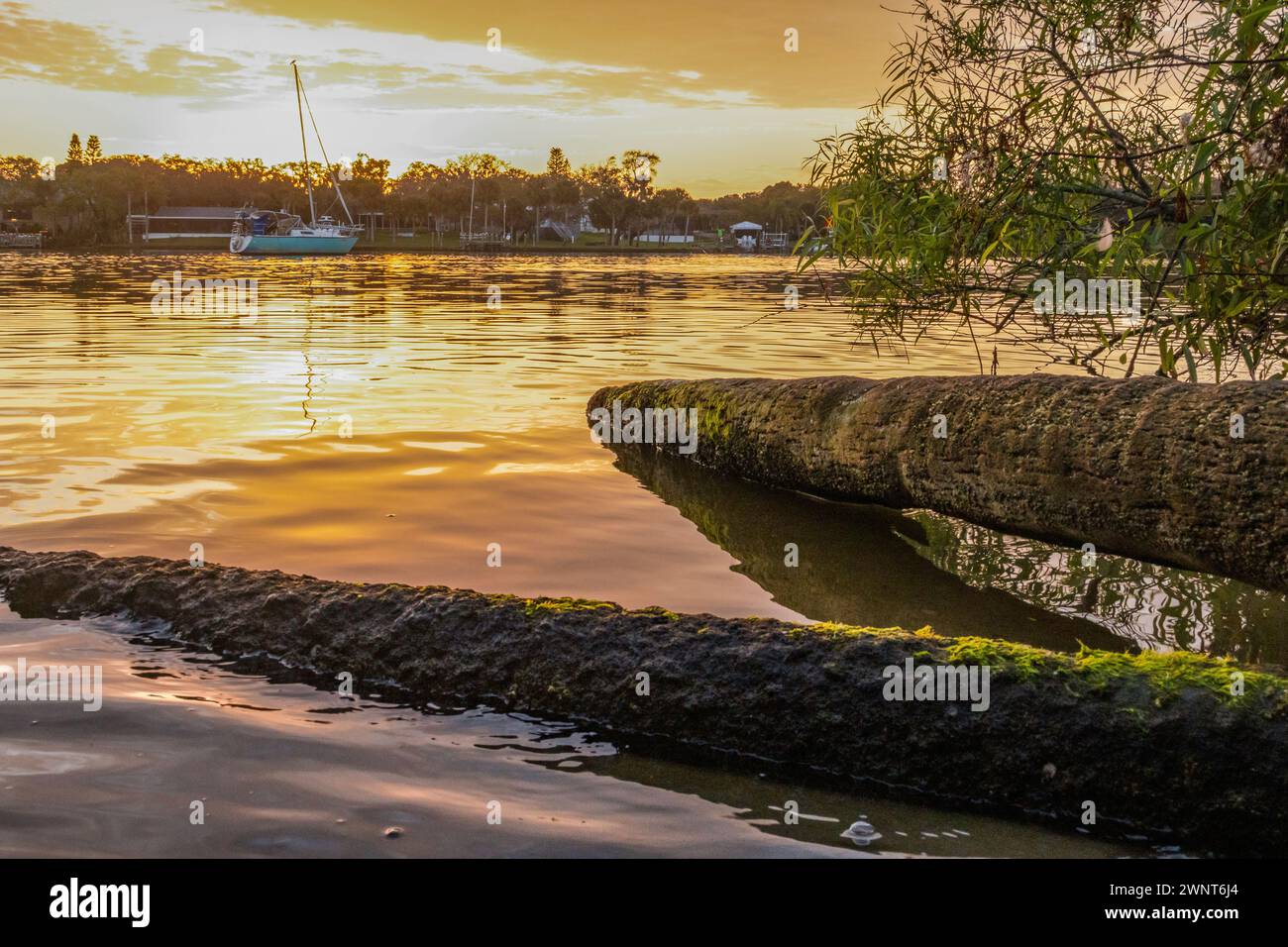 Shoreline with docks hi-res stock photography and images - Alamy